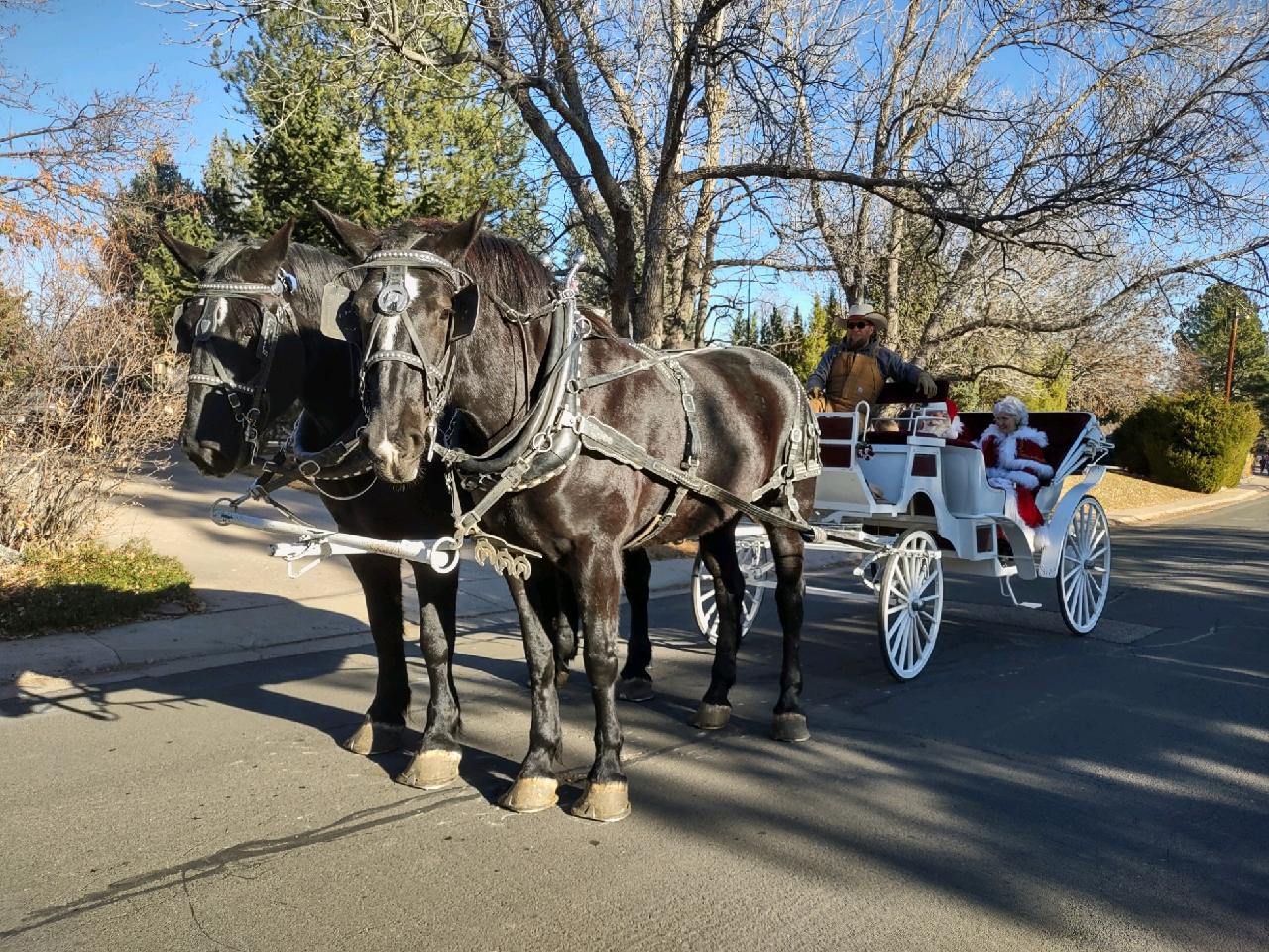 Attractions | See Our 2025 ‍Can’t Miss Attractions at Desert Farm Lights